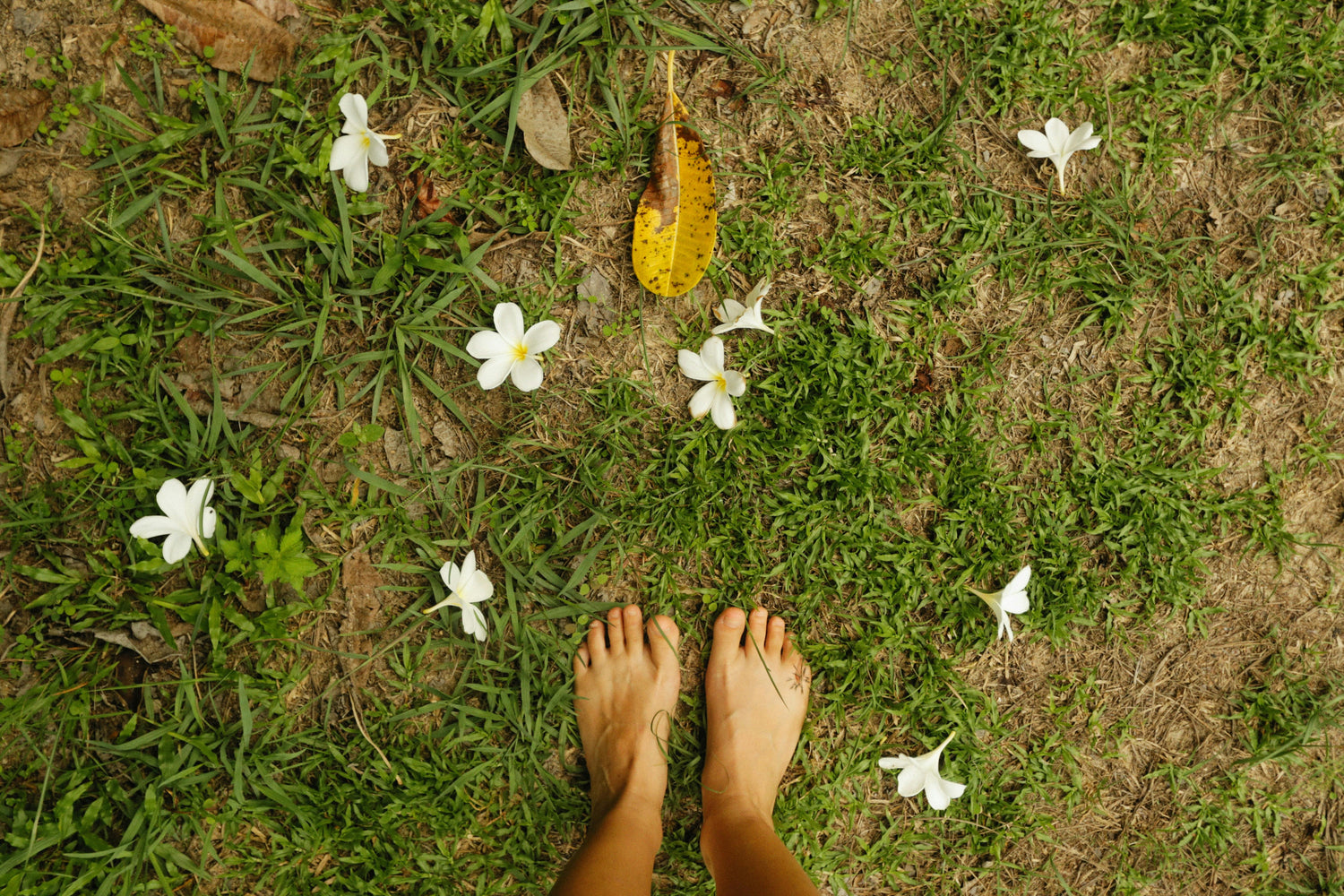 The Barefoot Blog – Zen Barefoot